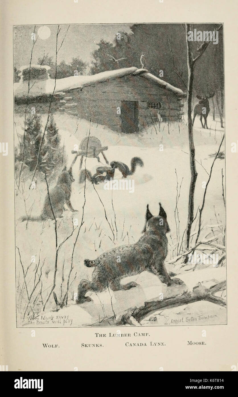 Four footed Americans and their kin (Plate 4) BHL9418163 Stock Photo ...