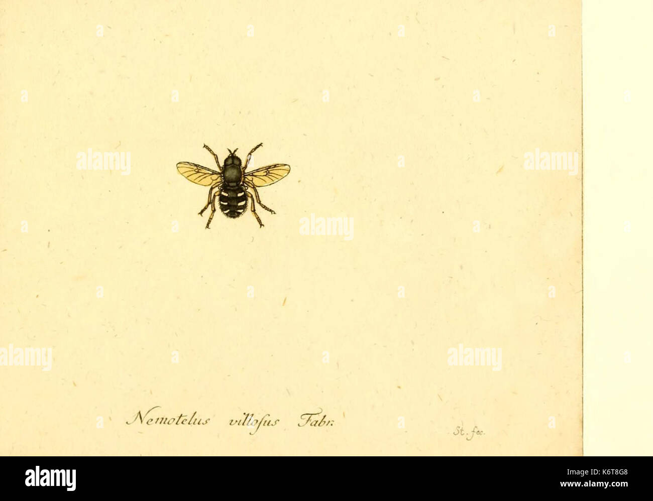 Detailed scientific illustration featuring hi-res stock photography and ...