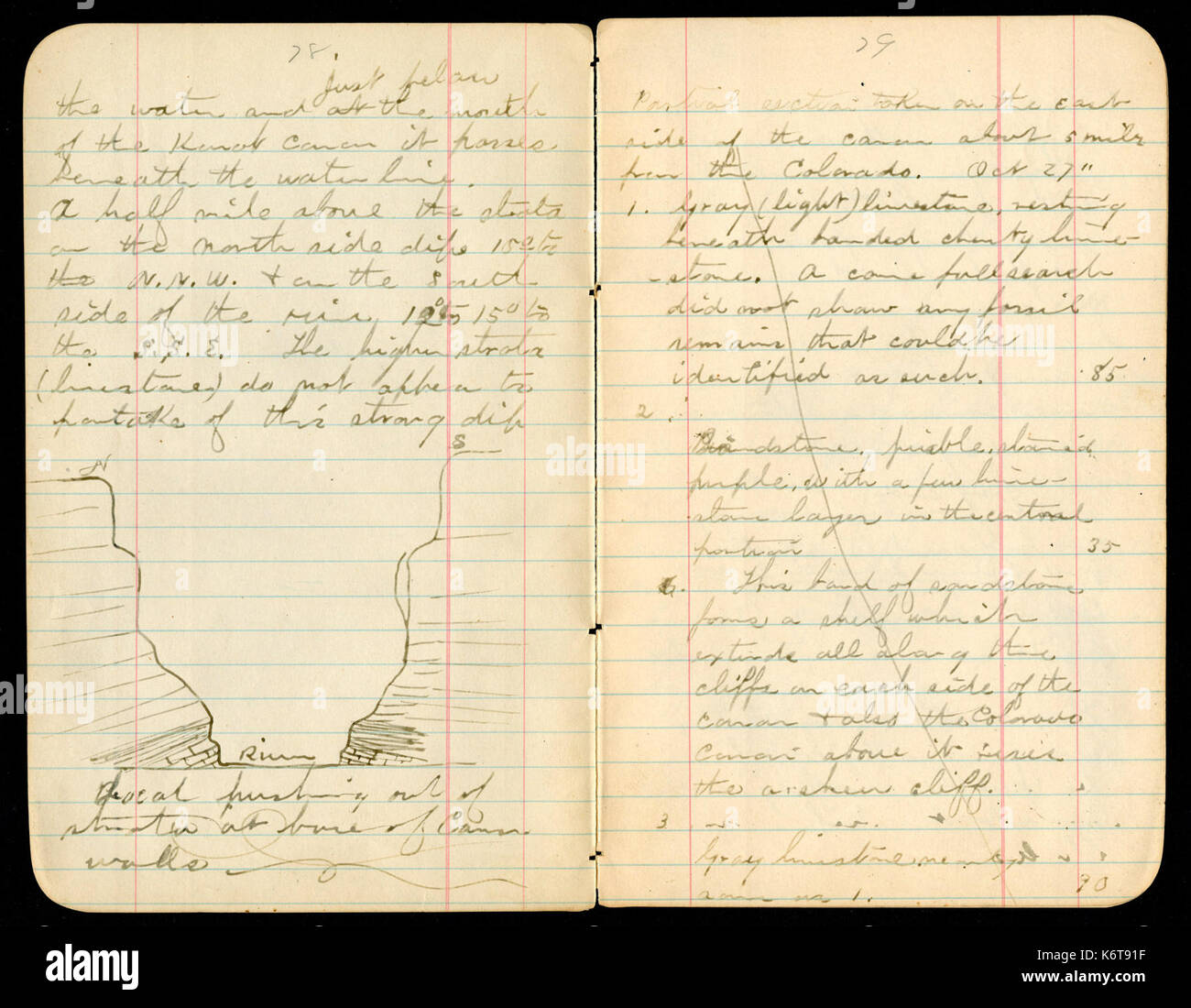 Field notes Arizona, 1879, 1930, includes notes by Charles Elmer Resser ...