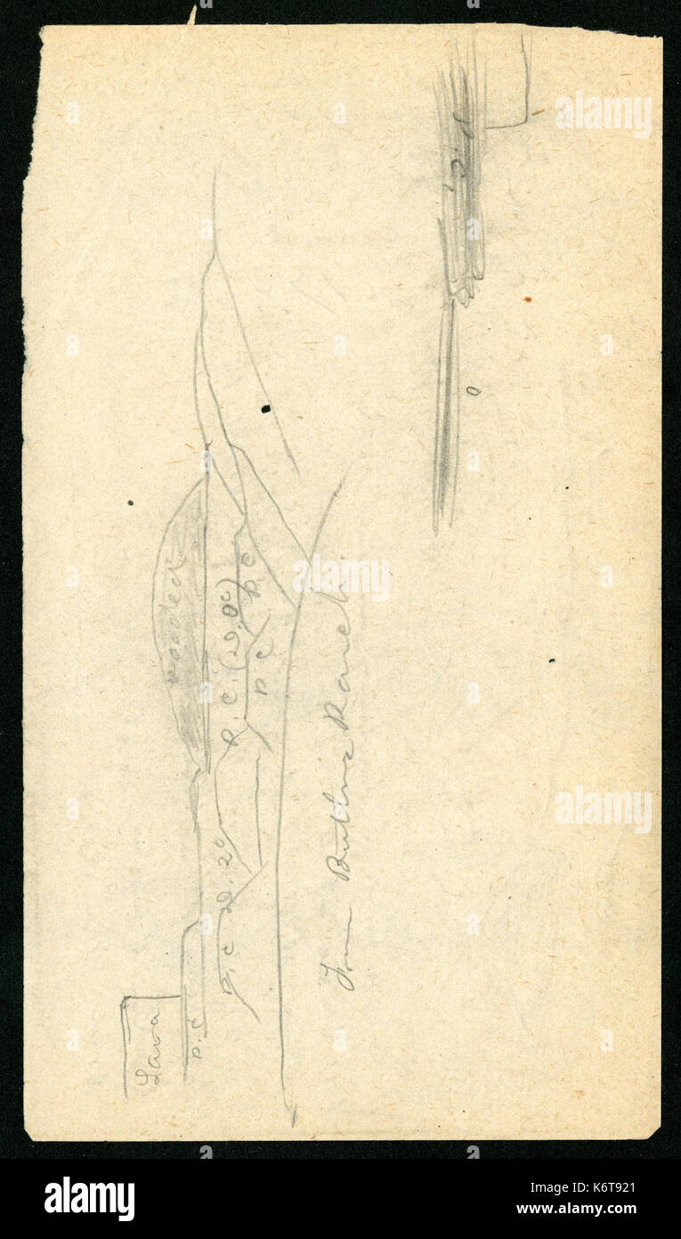 Field notes Arizona, 1879, 1930, includes notes by Charles Elmer Resser ...