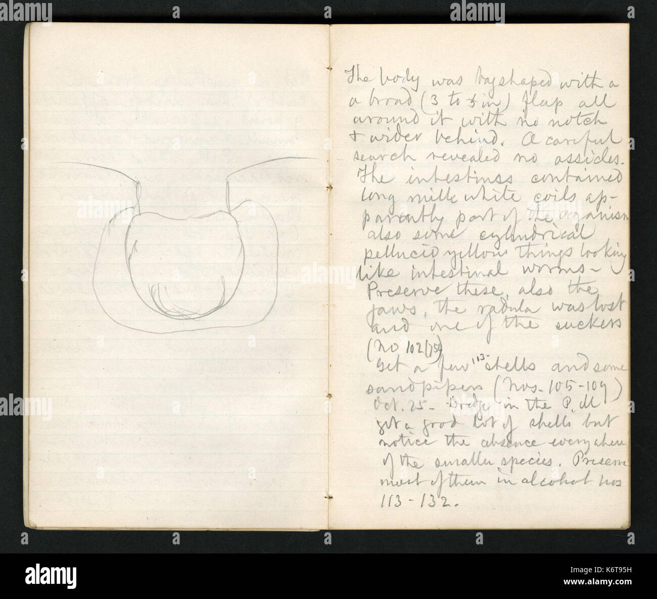 Anthropology field notes hi-res stock photography and images - Alamy