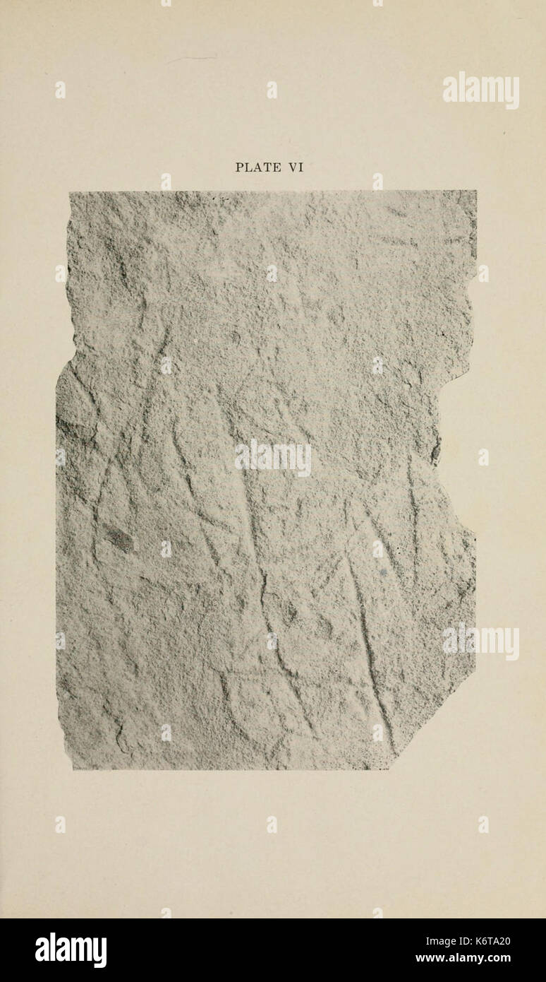 Ancient ice core hi-res stock photography and images - Alamy