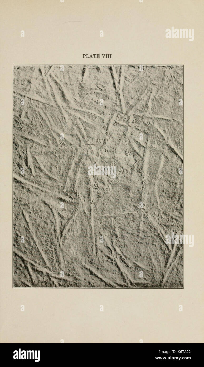 Ice core samples hi-res stock photography and images - Alamy