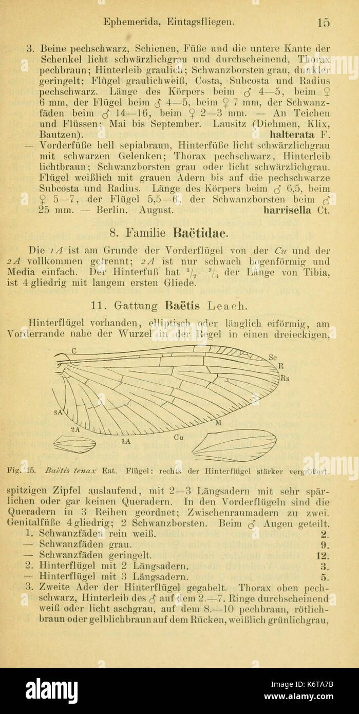 15 insect lepidoptera hi-res stock photography and images - Alamy