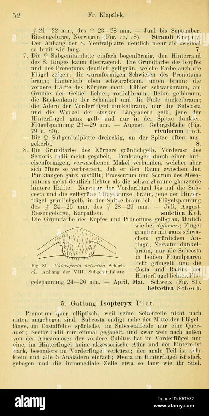 Lepidoptera life cycles hi-res stock photography and images - Alamy