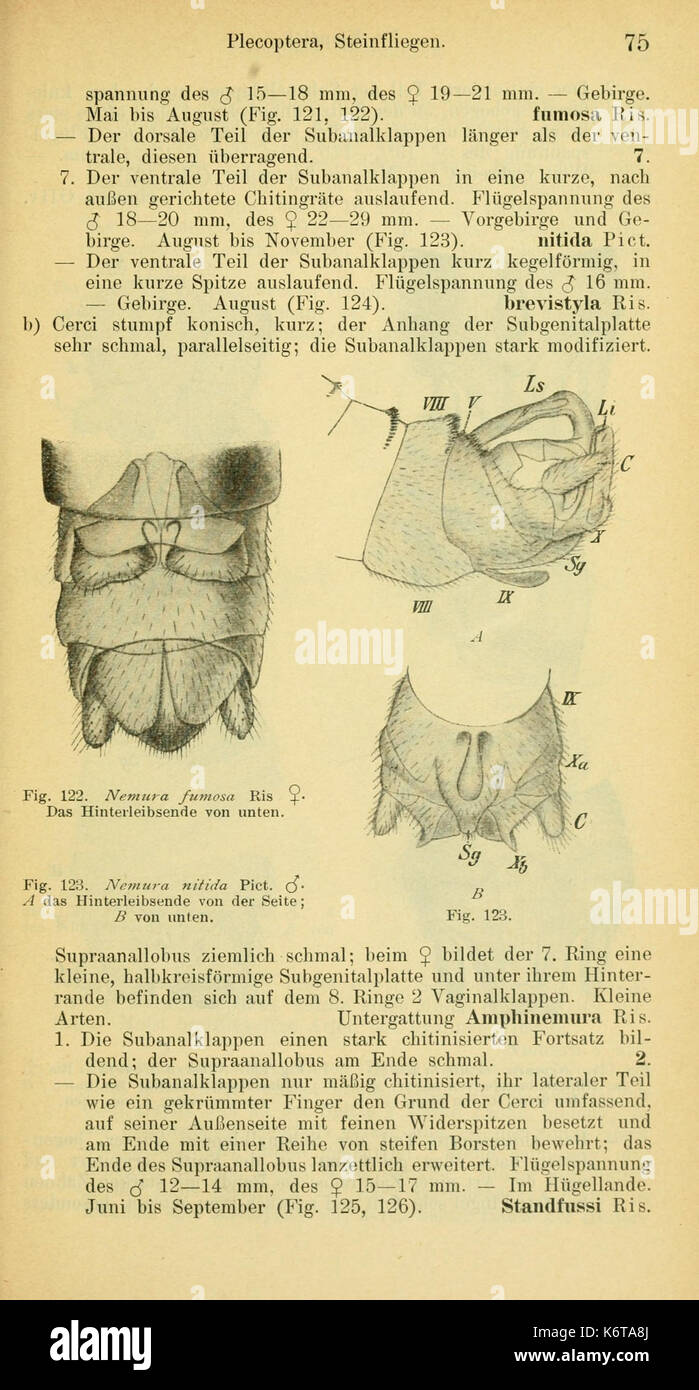 A scientific illustration from a publication documenting the Ephemerida ...