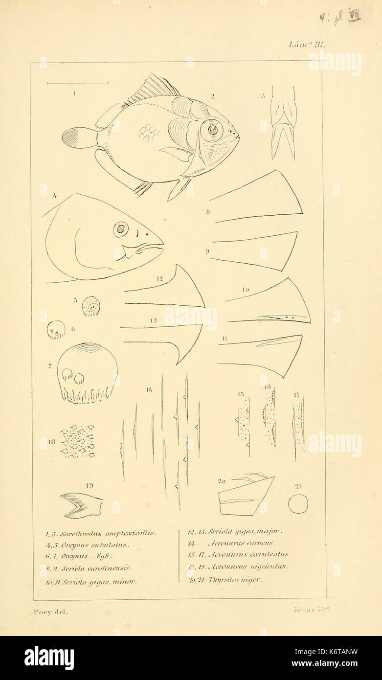 Enumeratio hi-res stock photography and images - Alamy