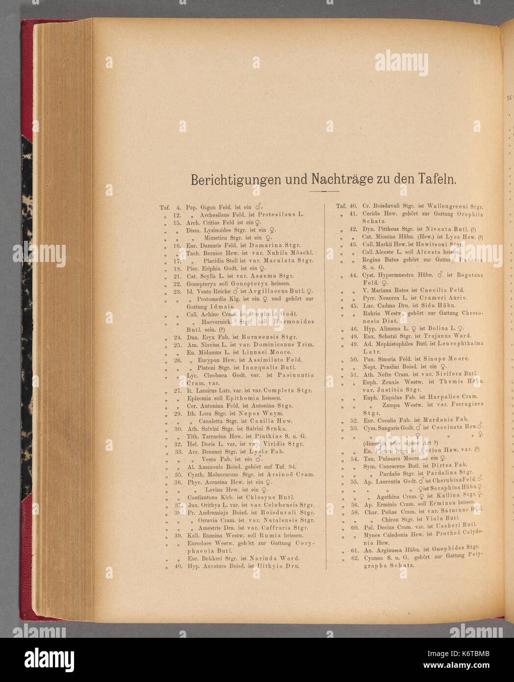 Exotische schmetterlinge (Page 332) BHL40070689 Stock Photo - Alamy