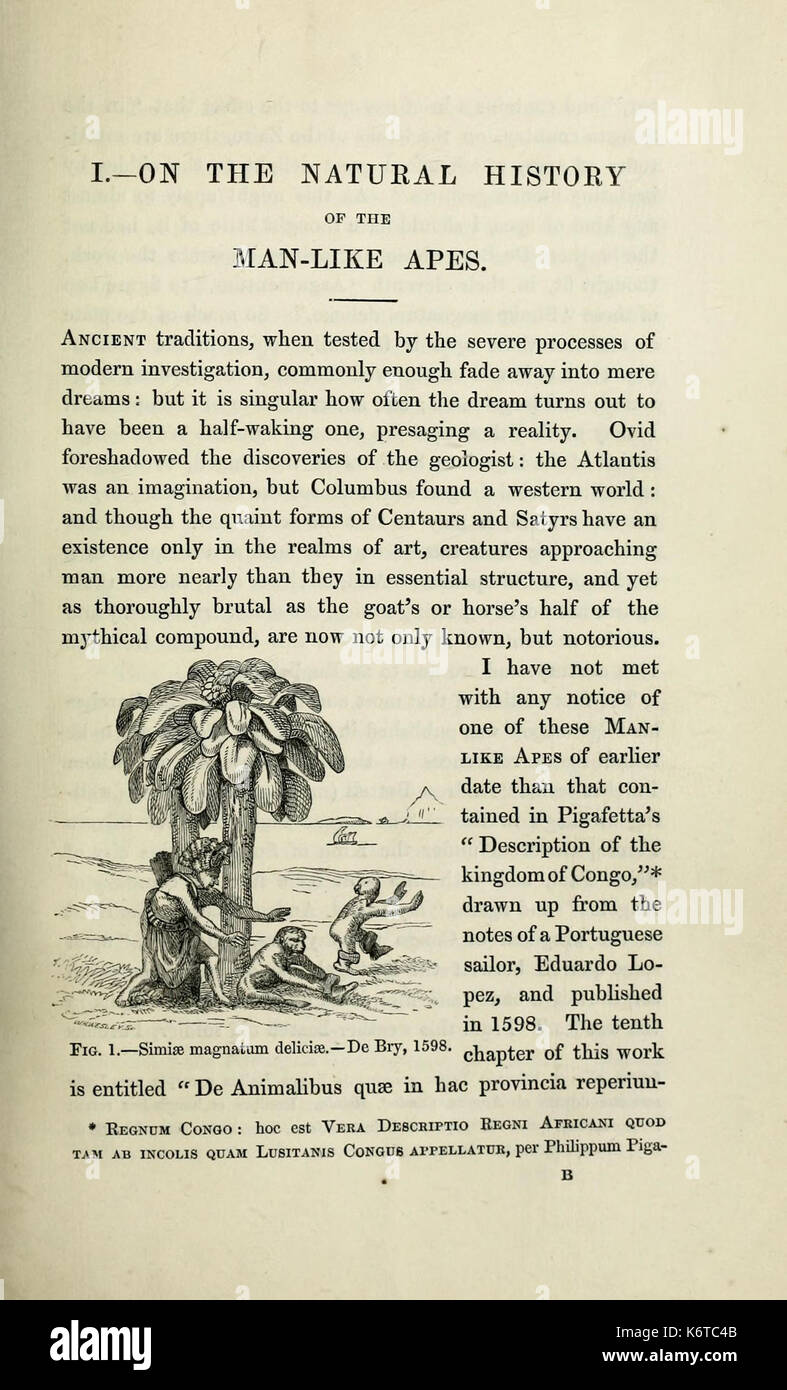 Evidence as to man's place in nature (Page 1) BHL31758350 Stock Photo ...