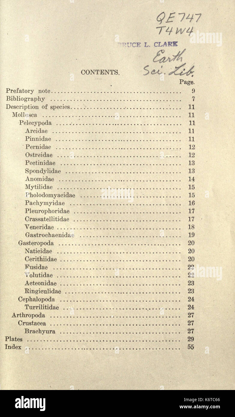 Fauna of the Buda limestone BHL17797715 Stock Photo - Alamy