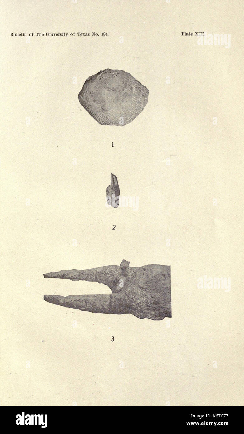 Fauna of the Buda limestone BHL17797762 Stock Photo - Alamy