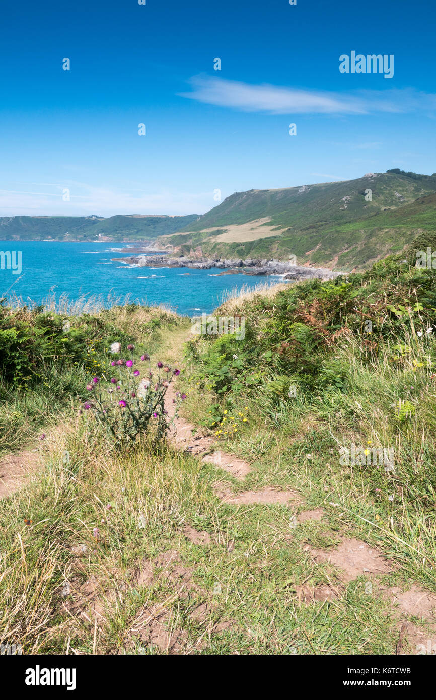 Coastal path near Start Point, Devon, England Stock Photo - Alamy