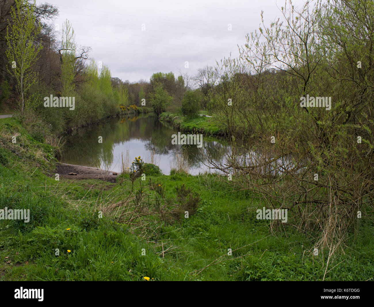 Spring countryside in Northern Ireland Stock Photo - Alamy
