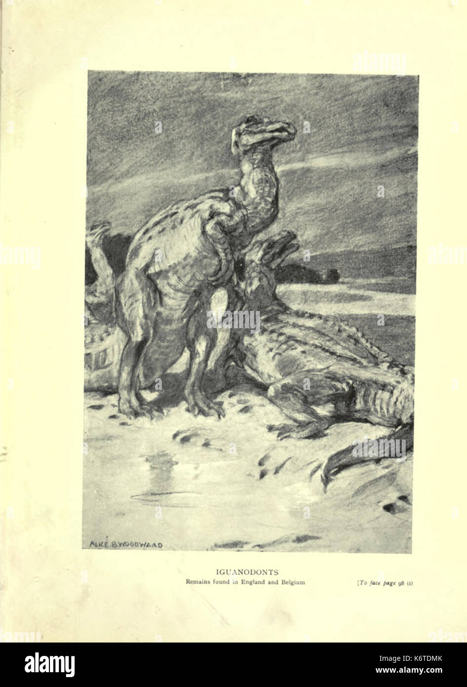 Plate 24 from 'Evolution in the Past' offers an illustration depicting ...