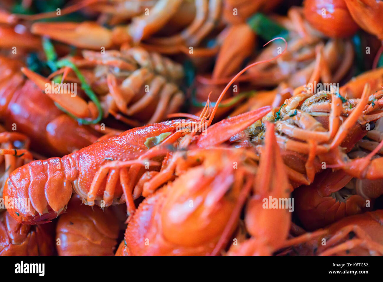 Crayfish cooked with salt and dill Stock Photo - Alamy