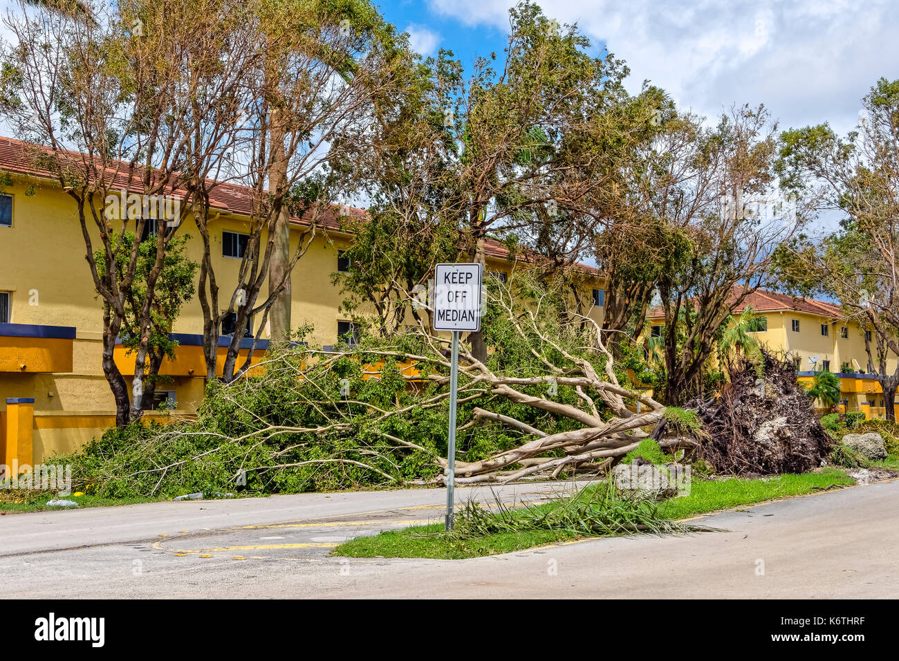 Damages after Hurricane "Irma". Miami. Florida. USA Stock Photo - Alamy