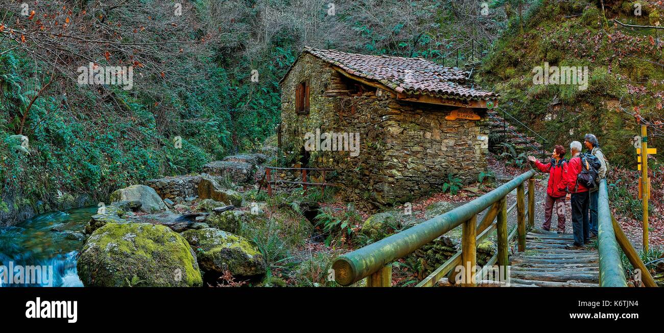 France, Ariege, Regional Park Ariege Pyrenees, Parc Naturel Regional ...