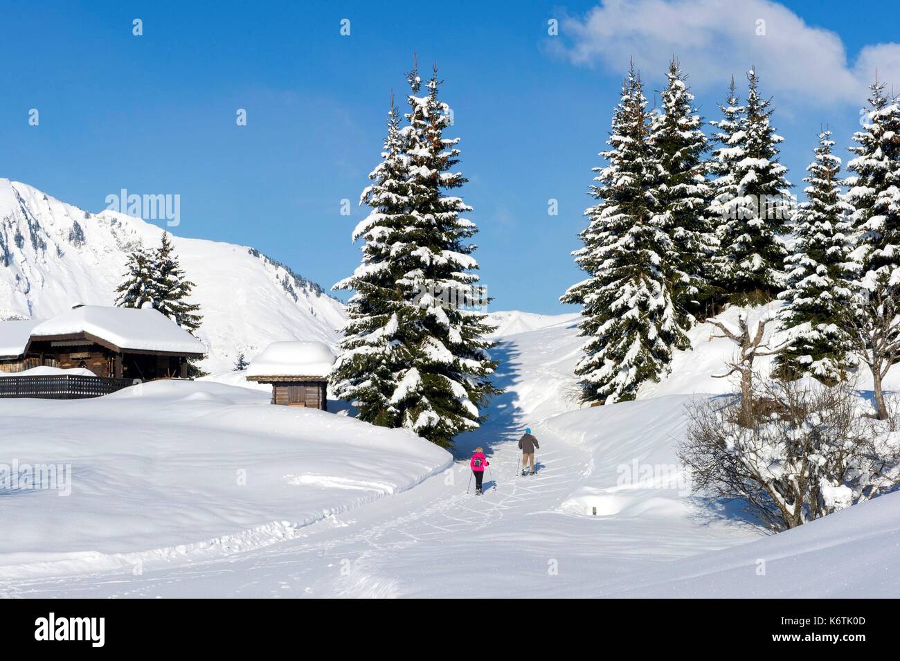 France, Haute-Savoie, Les Gets, Mont Caly, walkers at Mount Caly (1489m ...