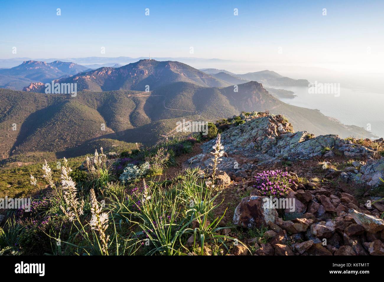 France, Var, Saint Raphael's common Agay, seen since the Cap Roux on ...