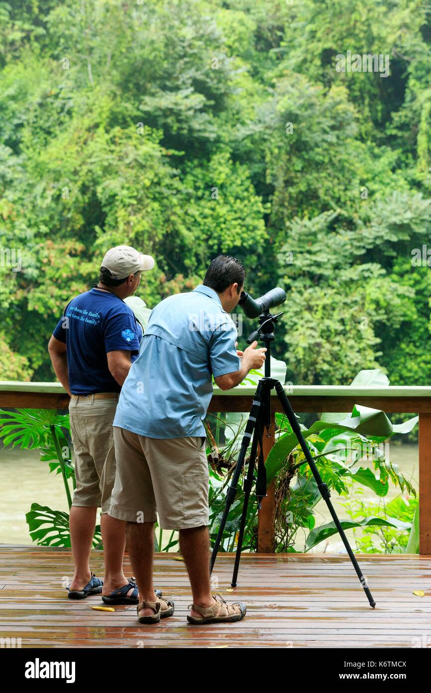Costa Rica, Limon province, Limon, Pacuare Lodge, bird watching Stock ...