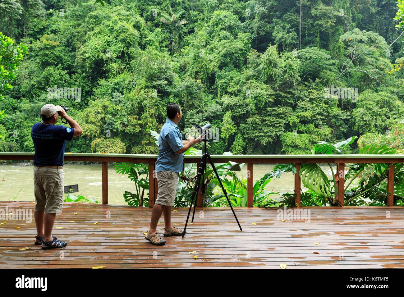 Costa Rica, Limon province, Limon, Pacuare Lodge, bird watching Stock ...