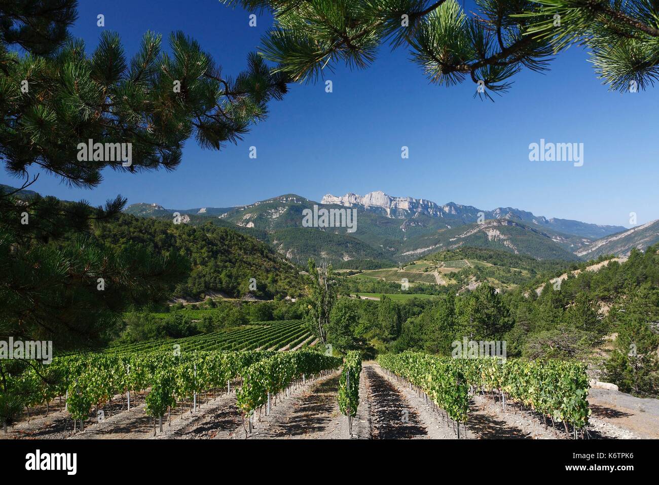 Barsac drome hi-res stock photography and images - Alamy