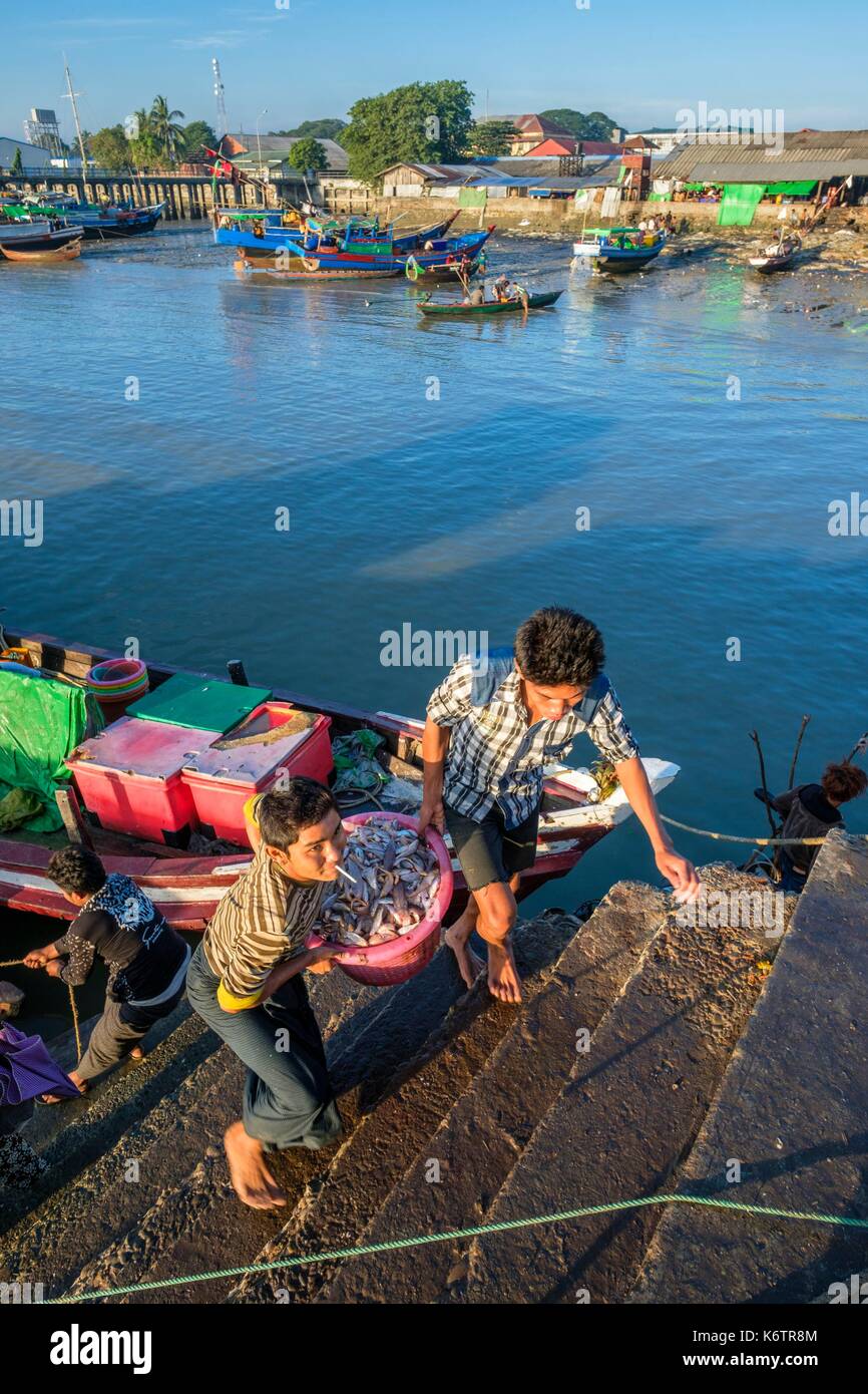 Myanmar (Burma), Rakhine state (or Arakan state), Sittwe, fishing ...
