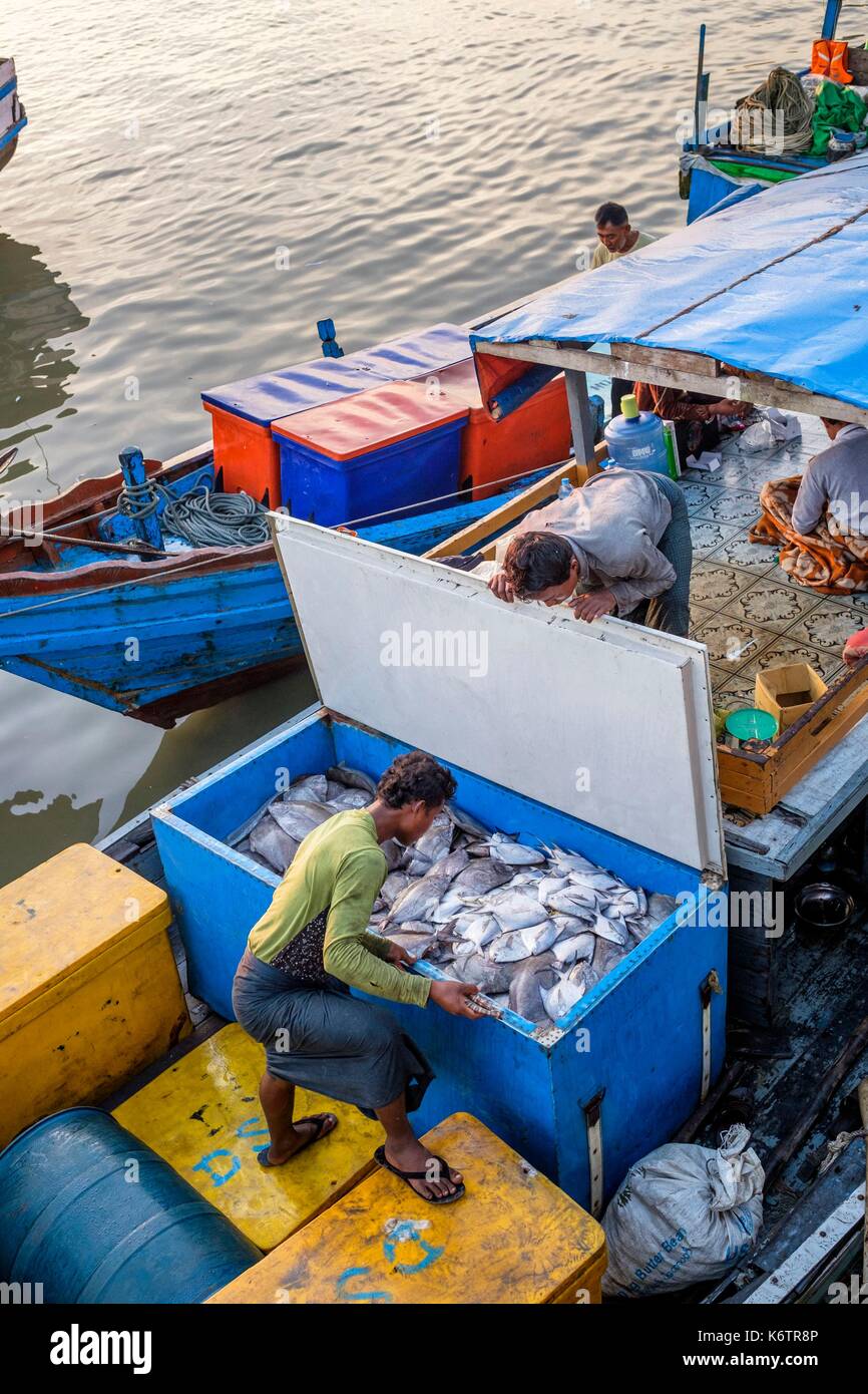 Arakan fisherman hi-res stock photography and images - Alamy
