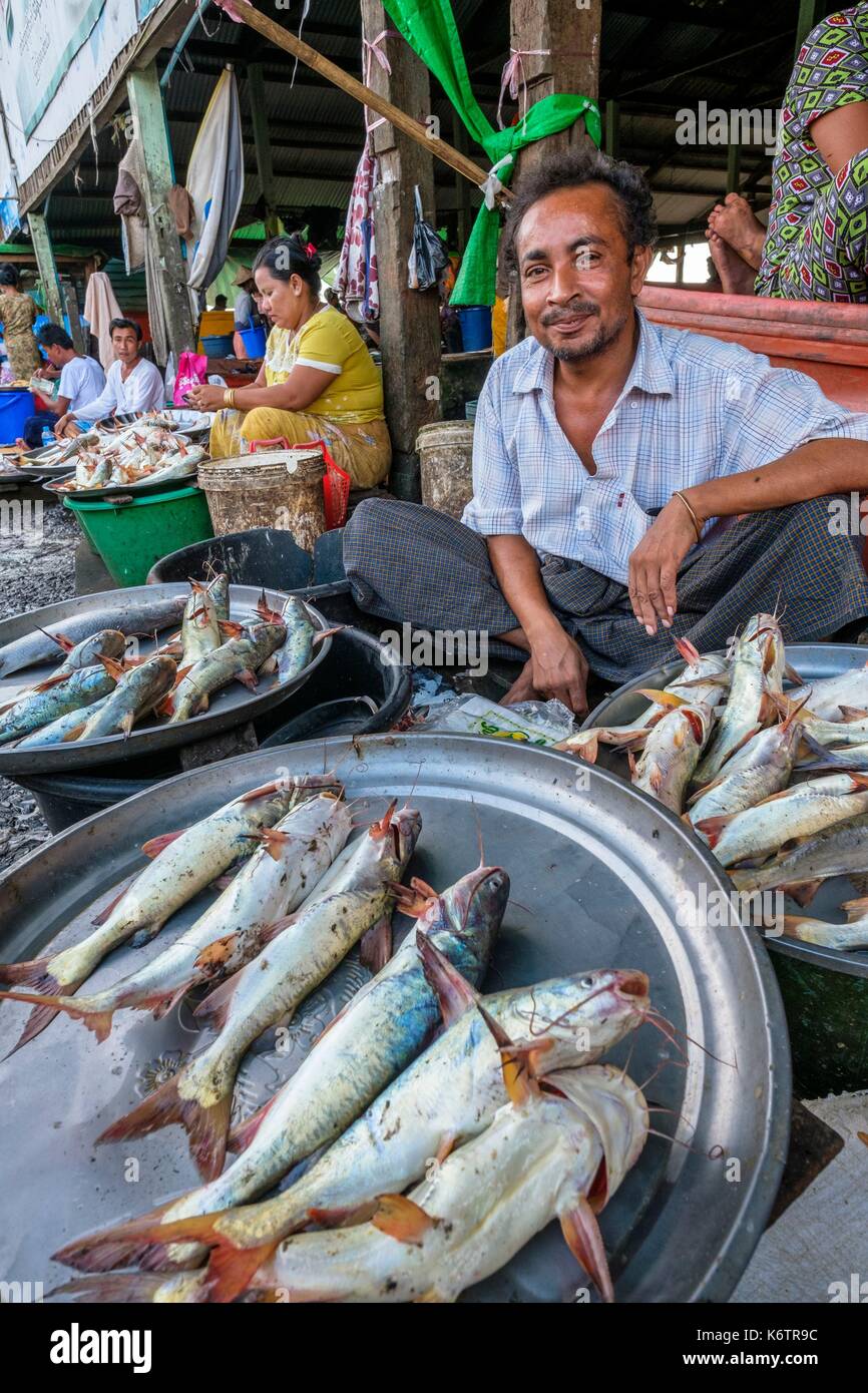 Myanmar (Burma), Rakhine state (or Arakan state), Sittwe, central market, fish market Stock ...