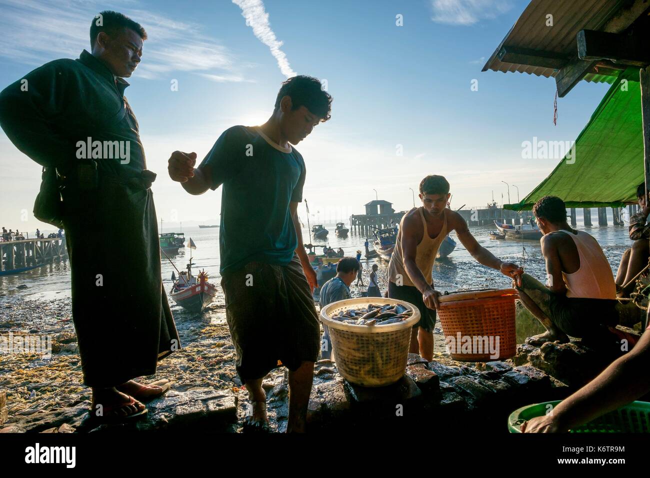 Myanmar (Burma), Rakhine state (or Arakan state), Sittwe, fishing ...