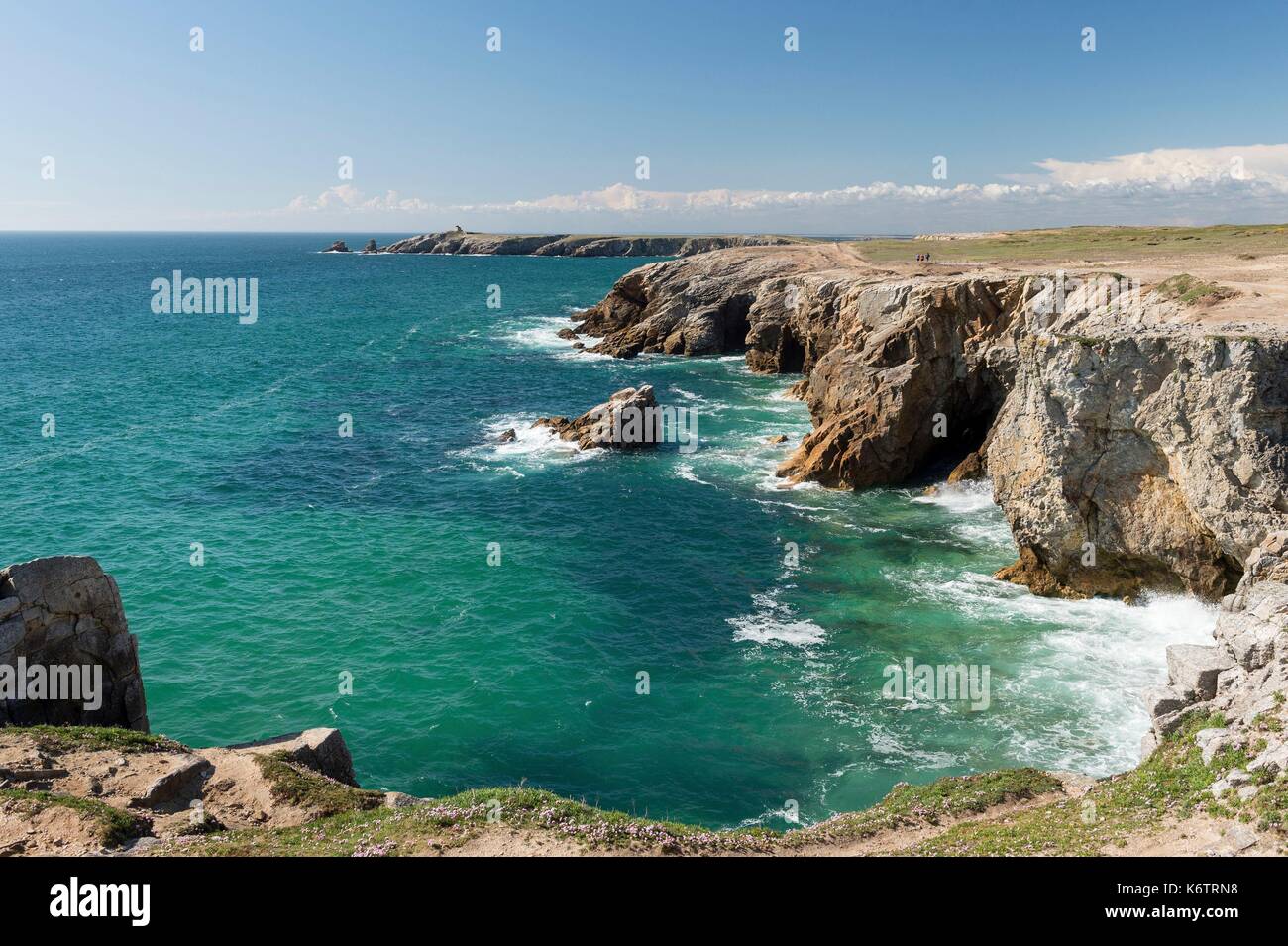 France, Morbihan, Peninsula of Quiberon, Quiberon, summer on the wild ...