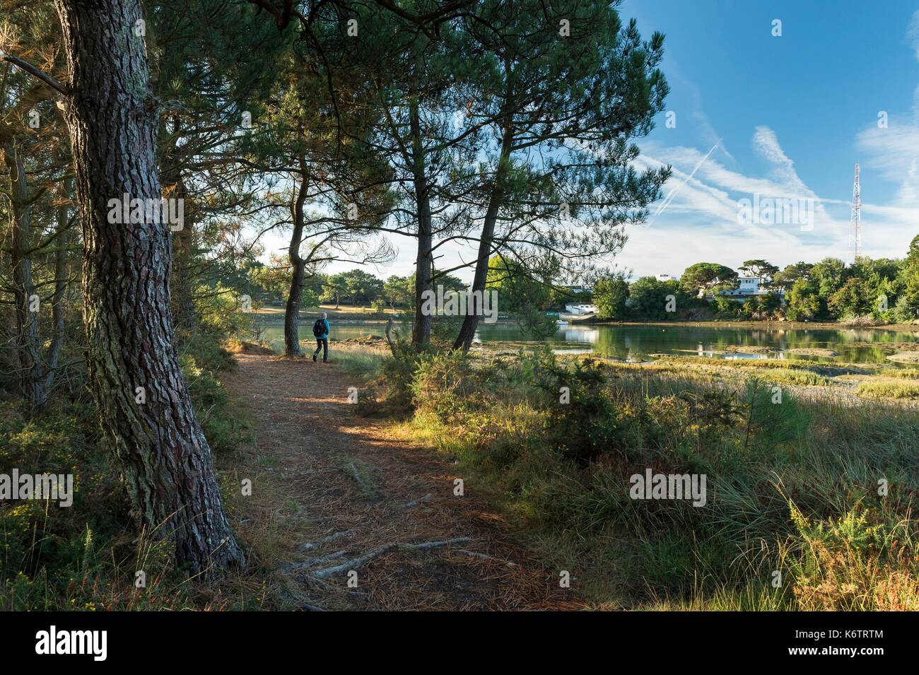 Sacch hi-res stock photography and images - Alamy