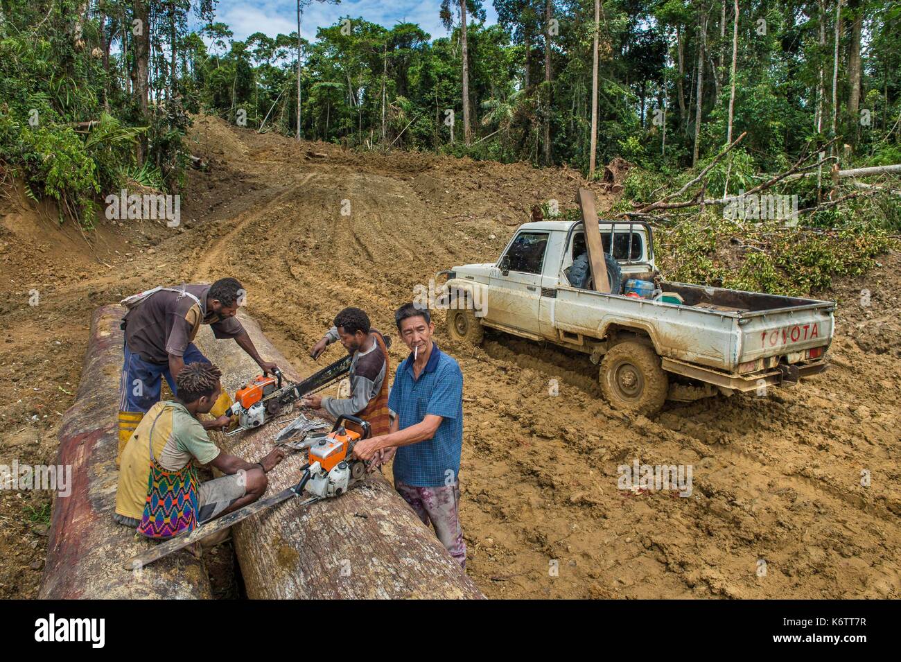Papua New Guinea, Vanimo province, deforestation, timber team Stock ...