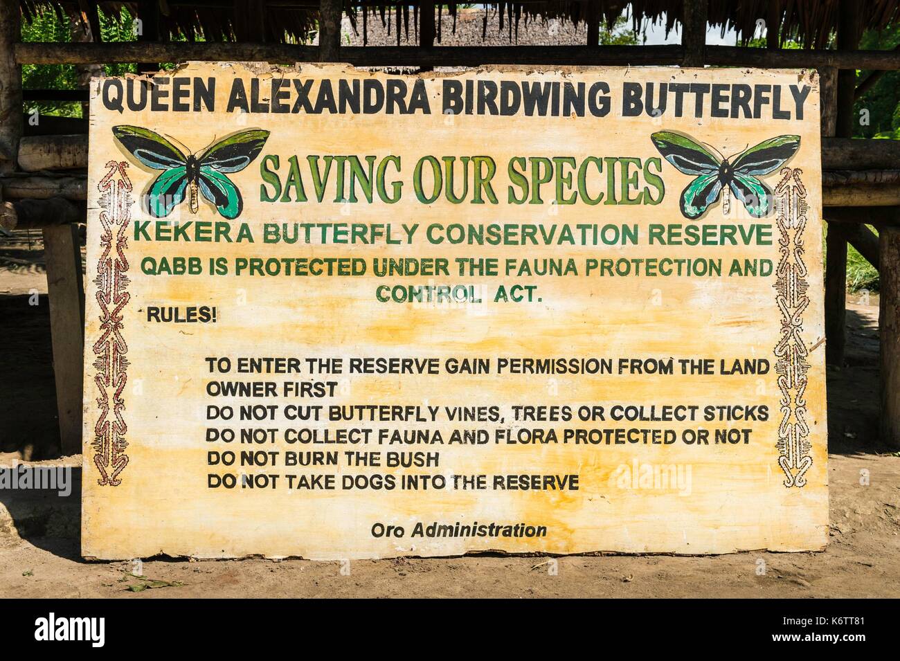 Queen alexandra's birdwing butterfly hi-res stock photography and ...