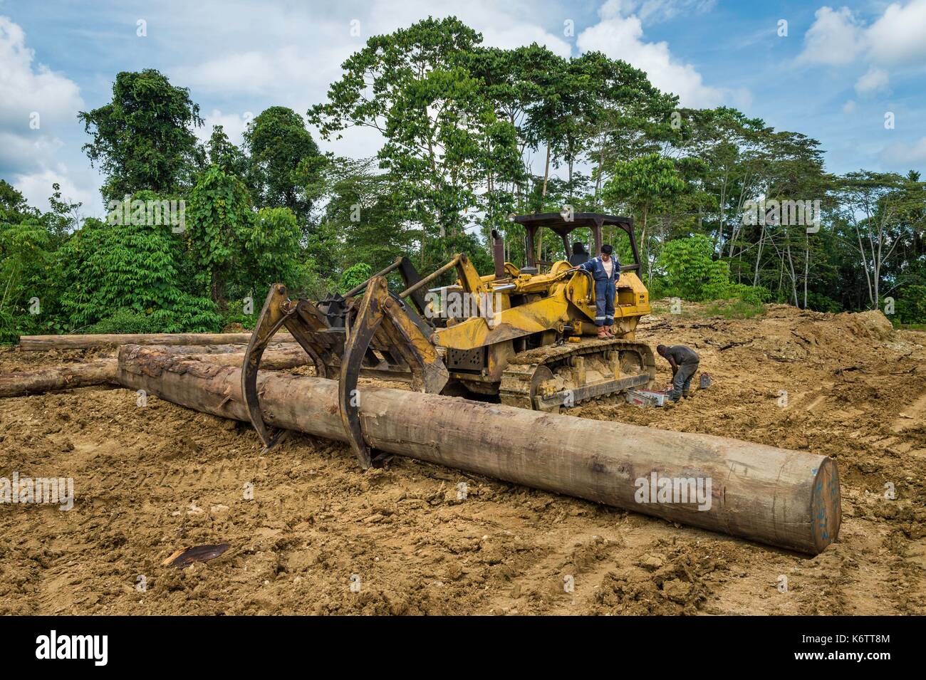 Papua New Guinea, Vanimo province, timber work Stock Photo - Alamy