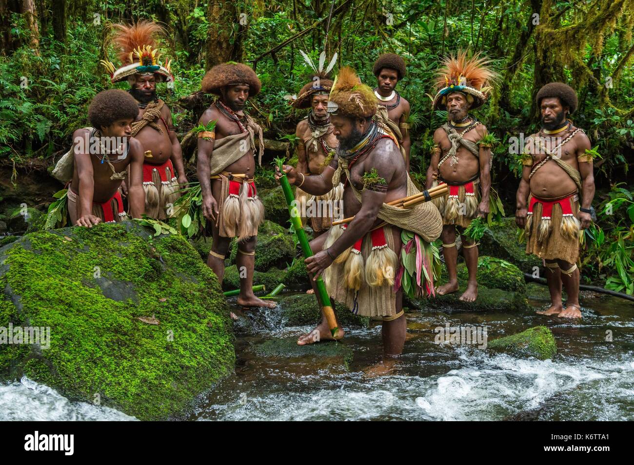 Papua New Guinea, Hela province, Ambua region, Huli tribe, initiation ...