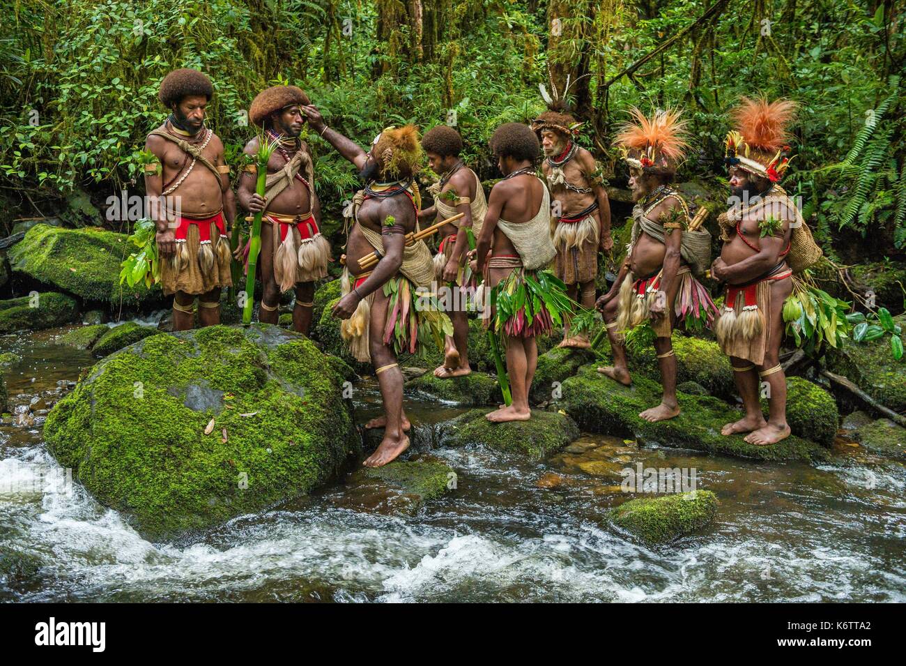 Papua New Guinea, Hela province, Ambua region, Huli tribe, initiation ...