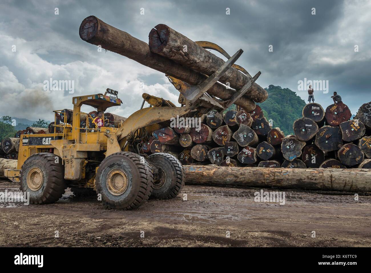 Papua New Guinea, Vanimo province, kids playing in the middle of ...