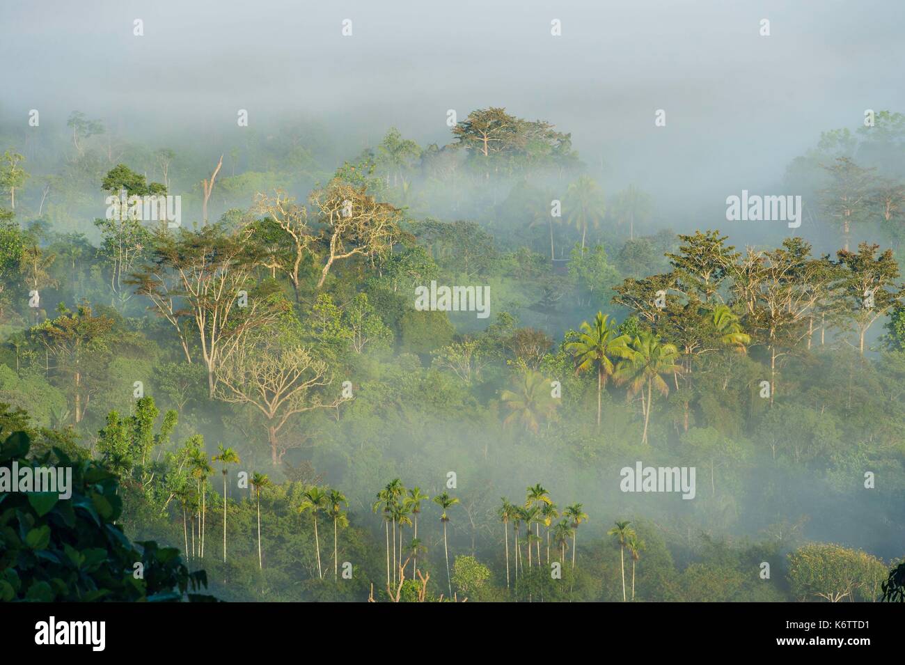 Northern Province Papua New Guinea High Resolution Stock Photography ...
