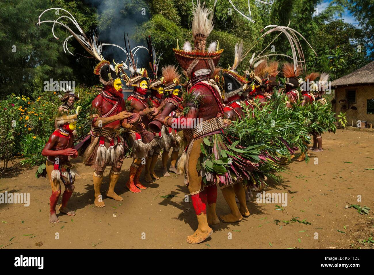 Papua New Guinea, Hela province, Huli tribe, Tari area, Kobe Tumbiali ...
