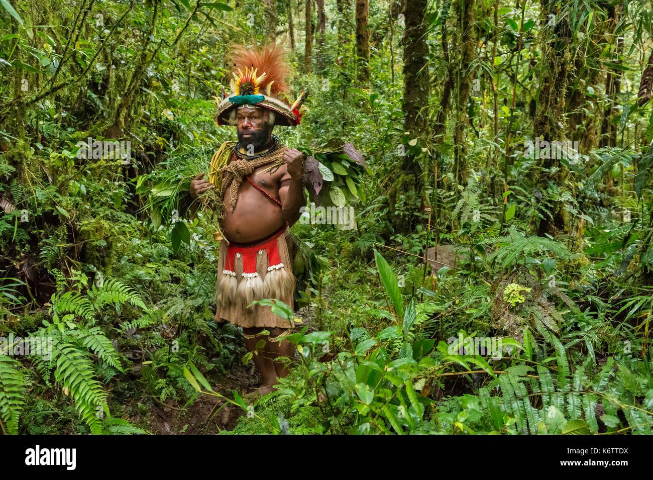 Papua New Guinea, Hela province, Ambua region, Huli tribe, chief ...