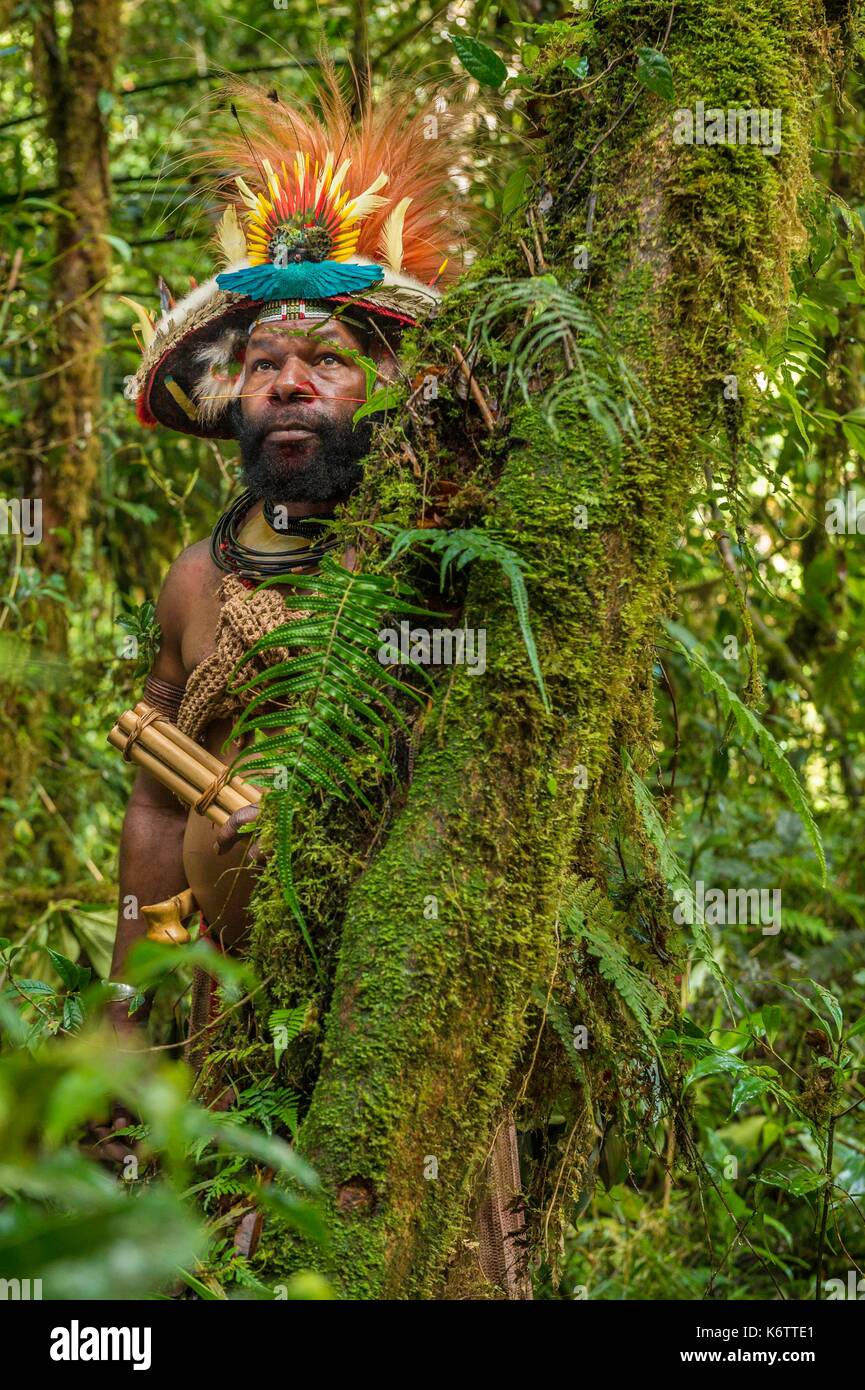 Papua New Guinea, Hela province, Ambua region, Huli tribe, chief ...