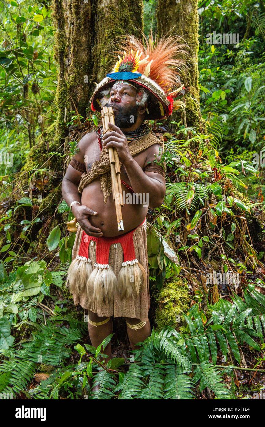 Papua New Guinea, Hela province, Ambua region, Huli tribe, chief ...