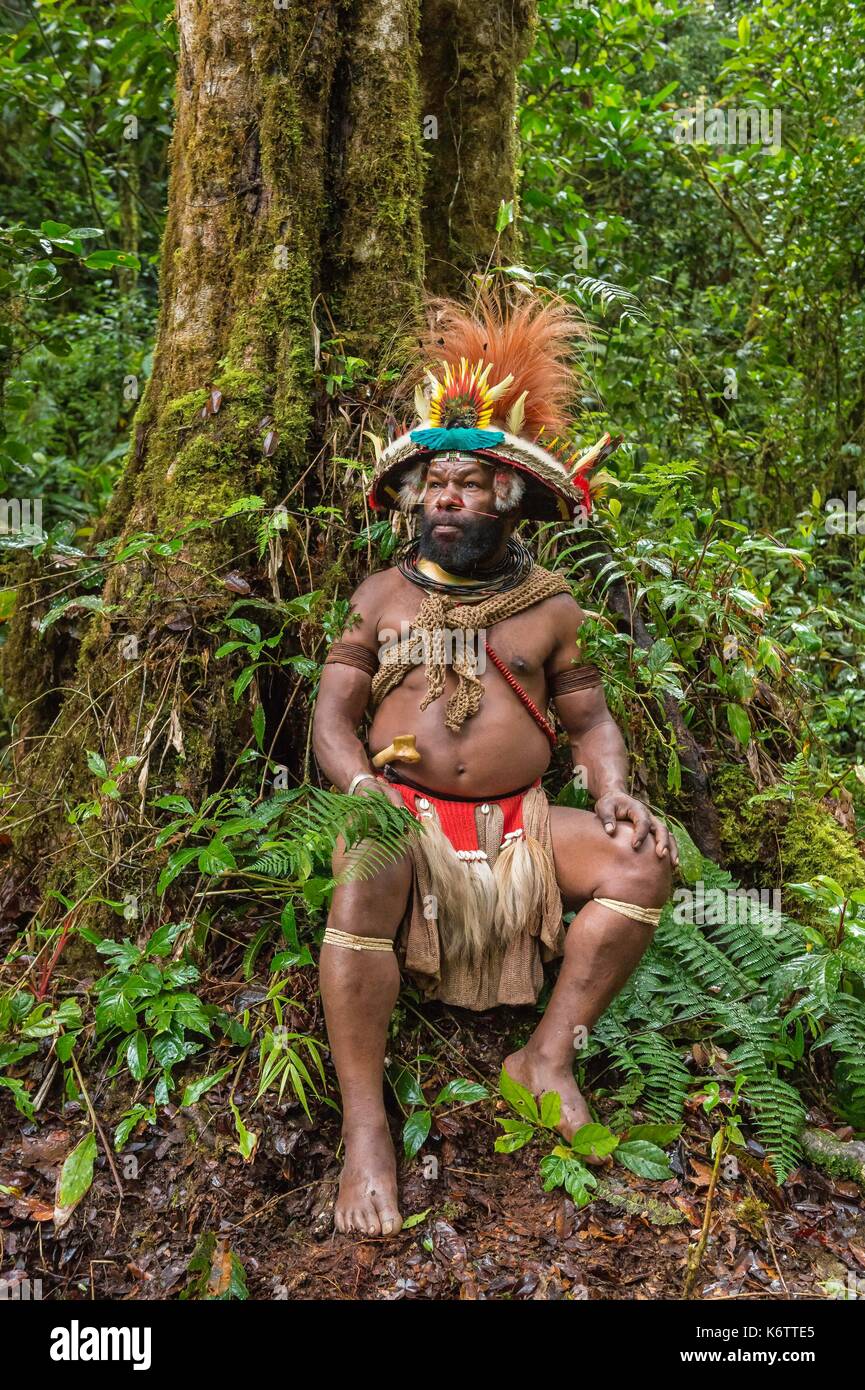 Papua New Guinea, Hela province, Ambua region, Huli tribe, chief ...
