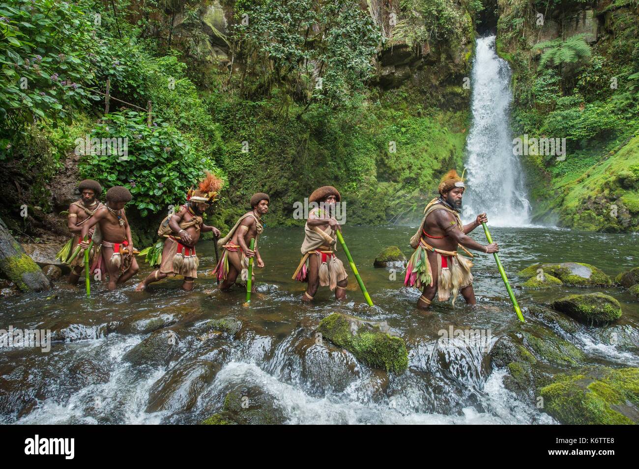 Papua New Guinea, Hela province, Ambua region, Huli tribe, initiation ...