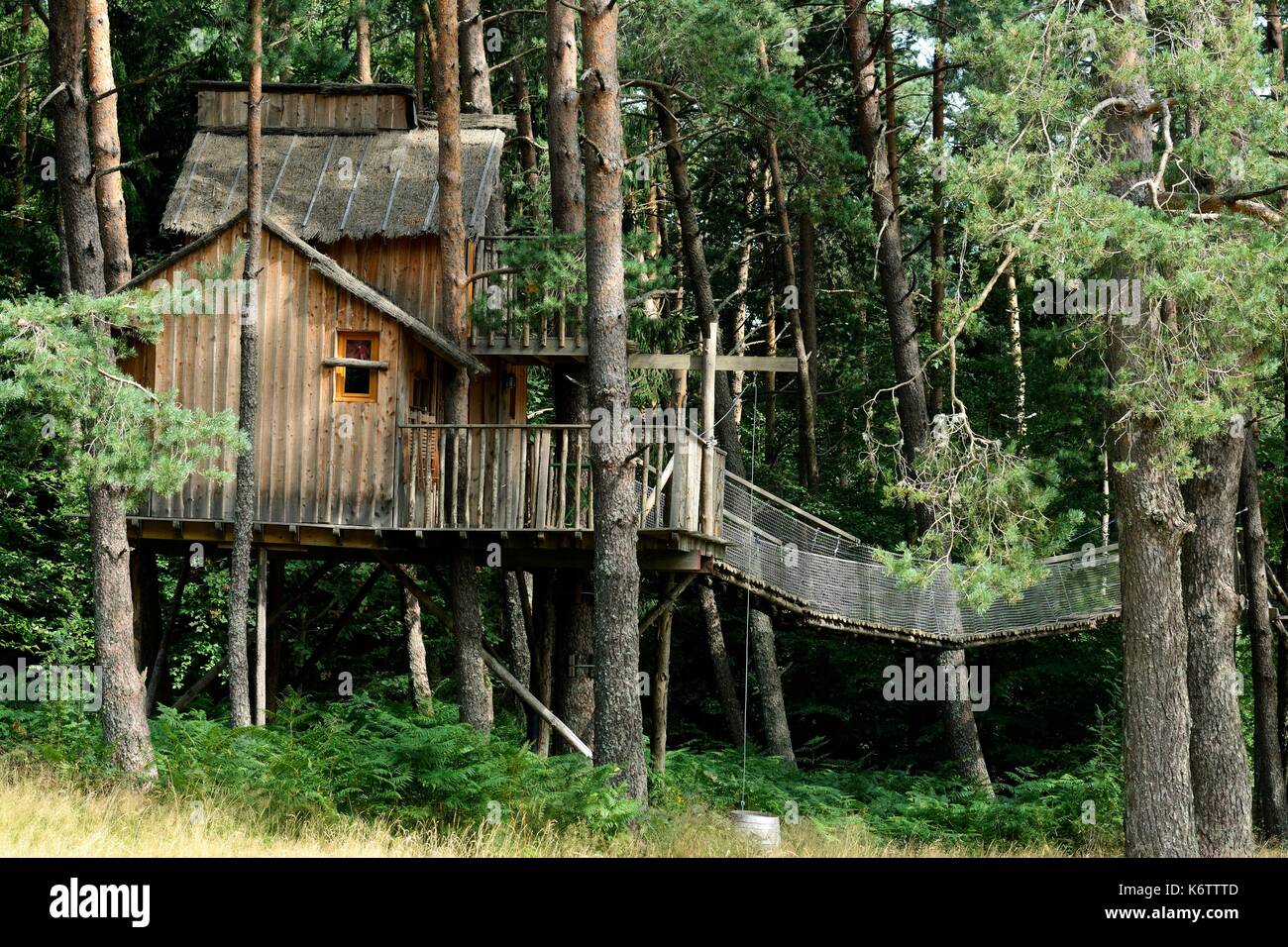France, Vosges, Champdray, Nids des Vosges, treehouse in the trees ...
