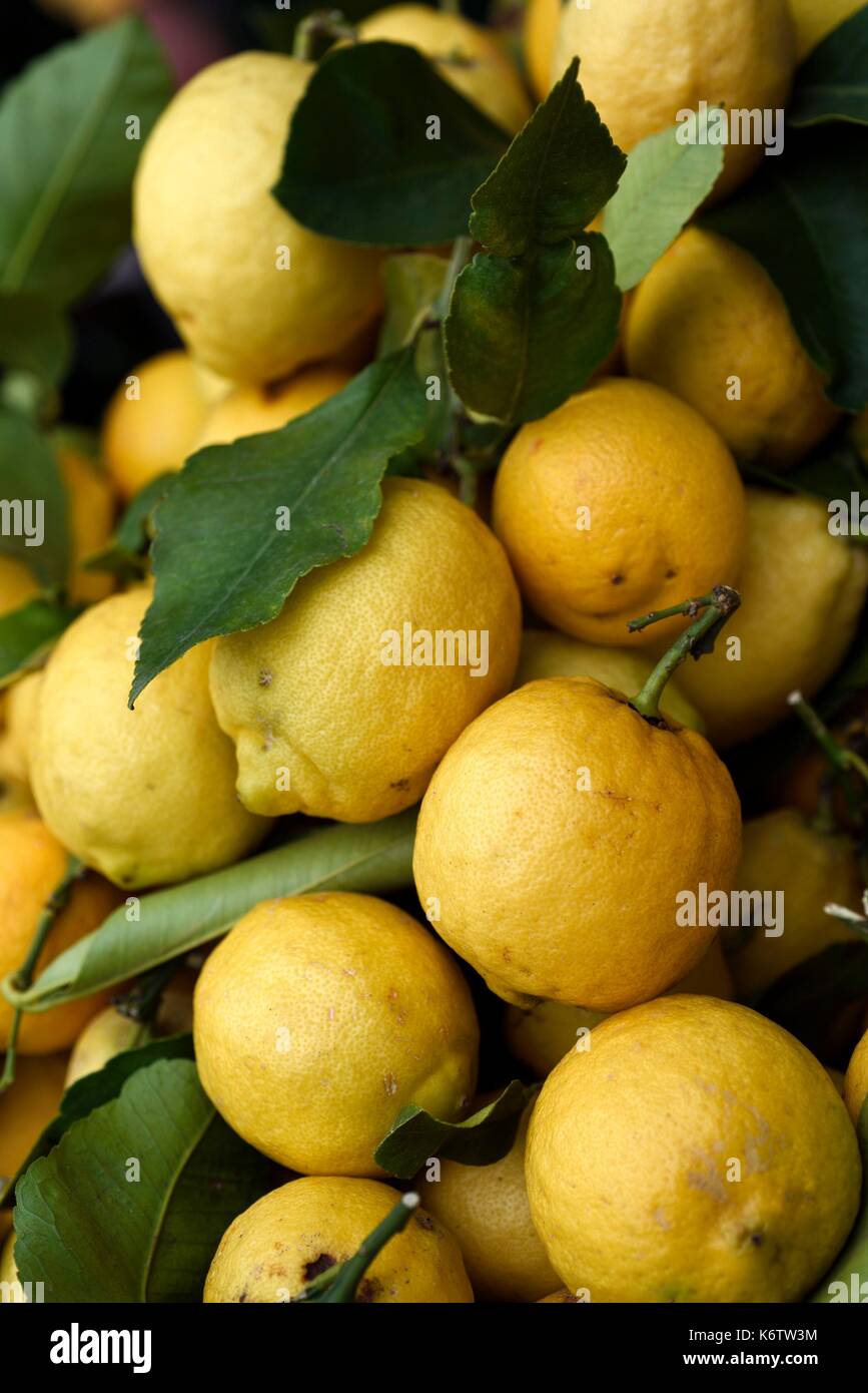 Citron de menton hi-res stock photography and images - Alamy