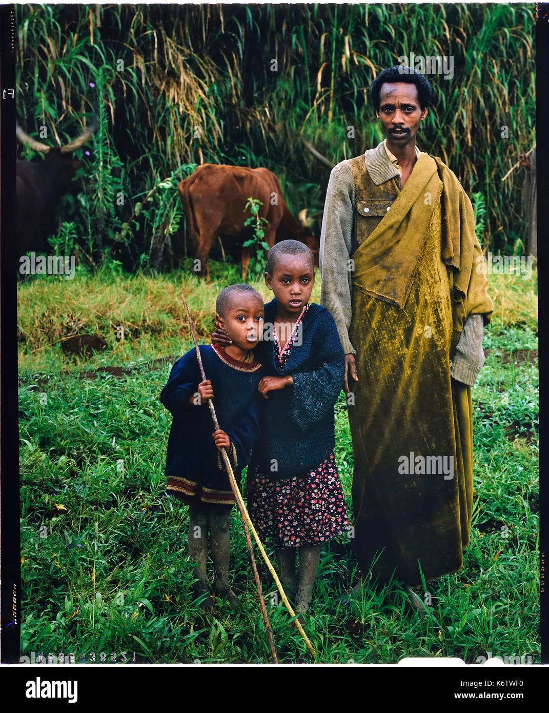 Burundi, Bujumbura Province, Ijenda area, Tutsi cattleman with two of ...