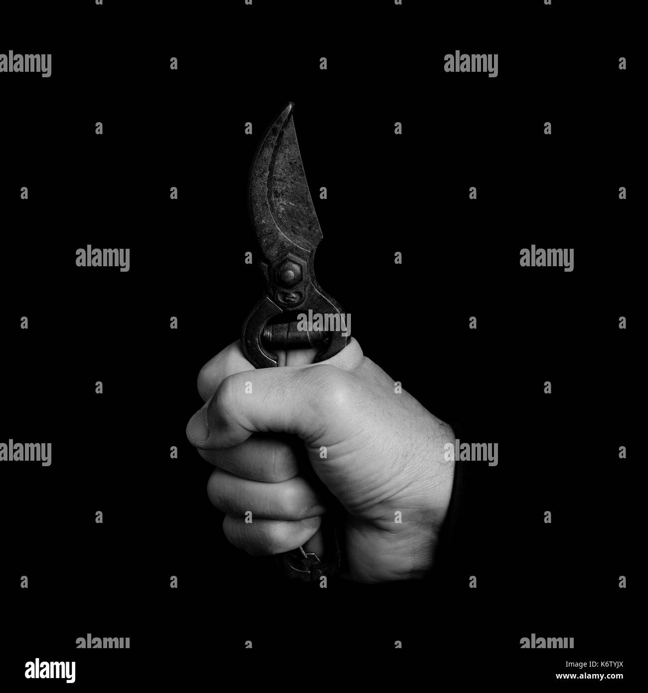 cropper - tools in a man's hand - black and white photo Stock Photo - Alamy