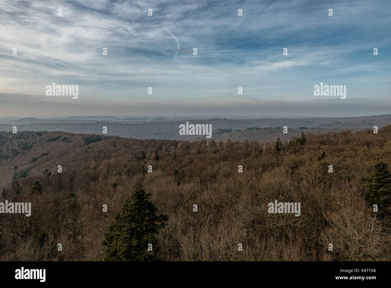 Merzalben, GER, Rheinlandpfalz - February 12, Luitpoldturm im Pfälzer ...